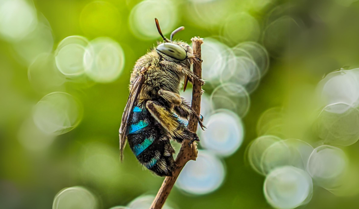 Behind the Lens: Understanding the Role of Apertures and Focusing in P ...